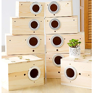 Pine Wood Parakeet Nest Box Bird House Budgie Breeding Mating Box for Lovebirds Cockatiel Parrotlets (L)