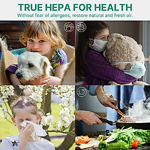 KCC Air Purifier for Home Large Room, Quiet Air Cleaner for Bedroom with Washable Pre-Filter, 646 SqFt Coverage