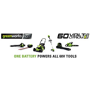 Greenworks Pro 60-Volt Max-Volt 5-Amp Hours Rechargeable Lithium Ion (Li-ion) Cordless Power Equipment Battery