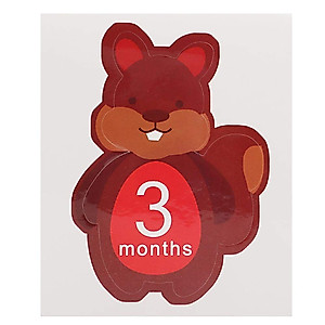12pcs Baby Sticker, Gender Neutral Monthly Stickers for Baby boy or Girl, Create Beautiful Memories with Our Cute Animal Designs