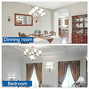 SHINESTAR 150 Watt LED Bulb, Daylight 5000K, 2500 Lumen A21 Bright Light Bulbs Indoor, E26 Standard Base, Non-dimmable, 2-Pack