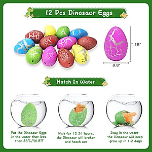 Dinosaur Theme Party Favors Supplies 96 Pcs Birthday Party Decorations Goodie Boxes Hatching Eggs Figures Keychains Pull Back Cars Bubble Wands Slap Bracelets Stickers Toys For Kids Boys Girls