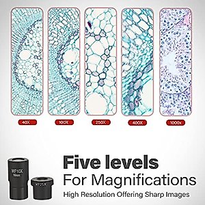 AmScope - M102C-PB10 40X-1000X Biological Compound Microscope with Prepared and Blank Slides for Student and Kids