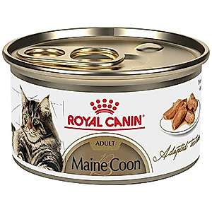 Royal Canin Feline Breed Nutrition Maine Coon Adult Thin Slices in Gravy Canned Cat Food, 3 oz can (24-count)