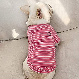 LXYDD Family Matching Set Matching Dog and Owner Clothes Pink Striped Cotton T Shirt Small Dog Clothes,Suitable for Small Dogs/Cats,M