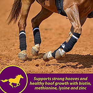 Horse Health Joint Combo Hoof & Coat, Convenient 3-in-1 horse joint supplement provides complete joint, hoof and coat care, 8 lb., 64 day supply