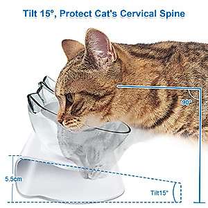 Double Cat Bowl with Raised Stand Pet Food Bowl Perfect for Cats and Small Dogs