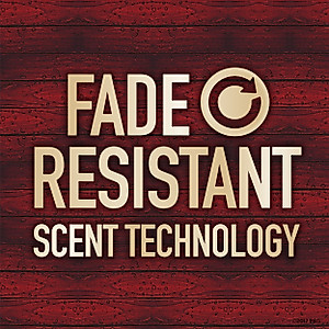 Old Spice Deodorant for Men, Captain Scent, Red Collection, 3.0 Ounce (Pack of 12)