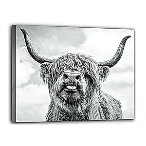 Highland Cow Canvas Print Black and White Highland Cow Wall Art Farmhouse Wall Decor Longhorn Highland Cattle Picture Stretched and Framed Ready to Hang for Living Room Bathroom Decor 12x16inch for fengyuyi