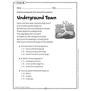 Comprehension Skills: Short Passages for Close Reading: Grade 1
