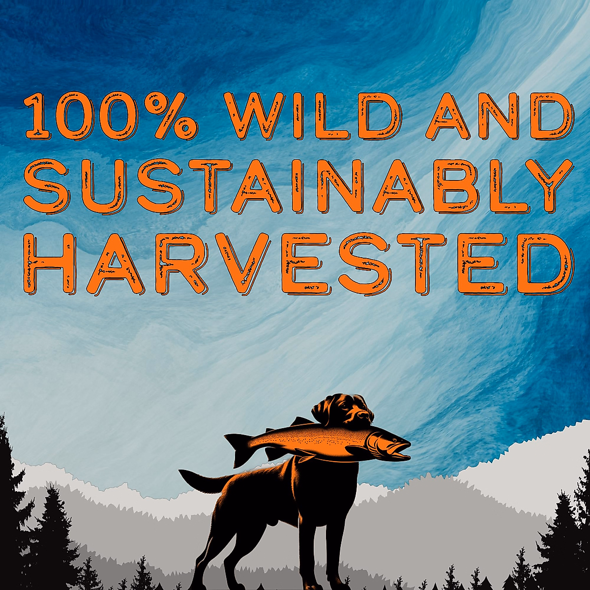 DogBone Wild Alaskan Fish Oil for Dogs 32 oz | Salmon Oil for Dogs | Dog Fish Oil | Omega 3 for Dogs | Dog Joint Supplement | Dogs Vitamins and Supplements | Salmon Oil for Dogs Skin and Coat