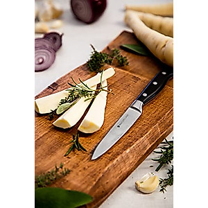 MasterClass All Purpose Small Kitchen Knife with EdgeKeeper Knife Sharpener Sheath, Stainless Steel, 11 cm