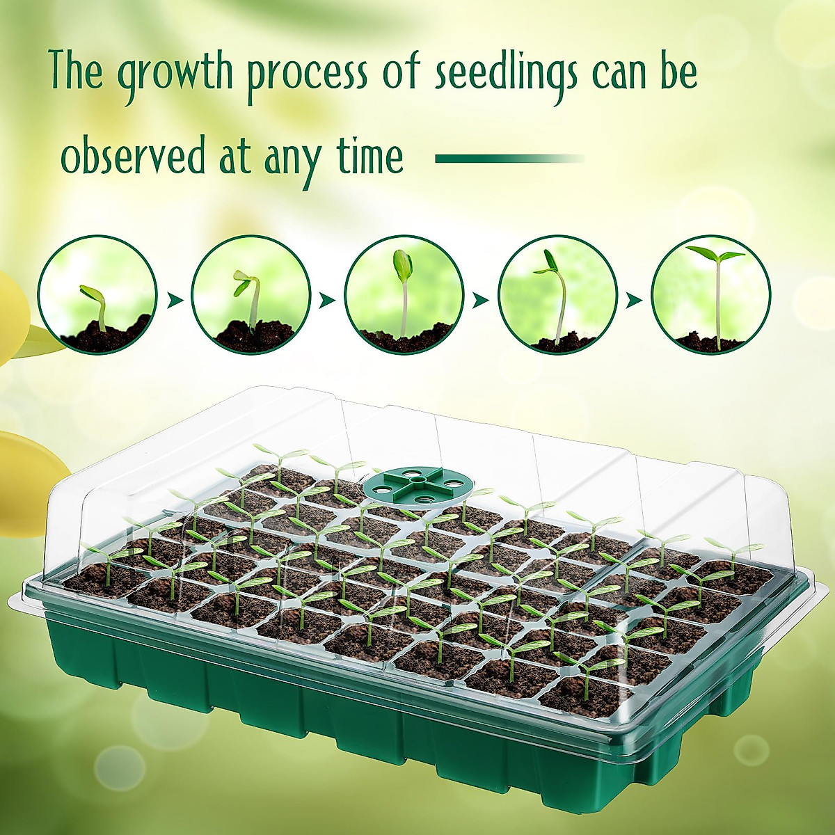 Hoolerry Seed Starter Tray 40 Cells Seed Starter Kit with Humidity Dome and Base Propagation Tray Plant Germination Trays Greenhouse Mini Propagator Station for Seeds Growing (Green,20 Pcs)