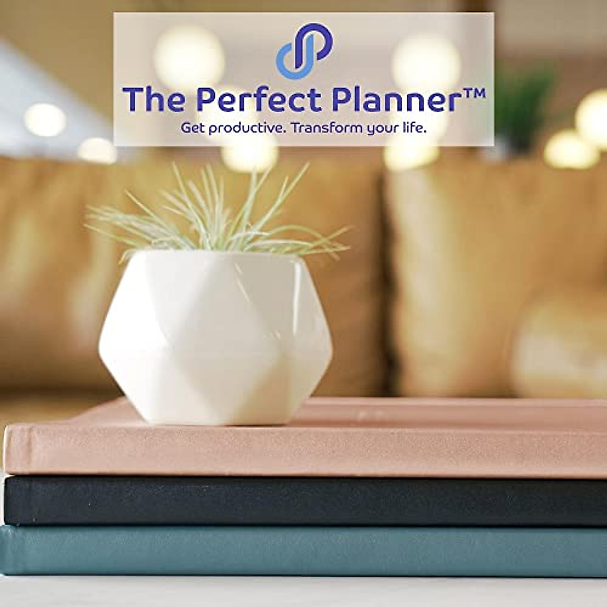 Perfect Planner, 2023 Planner Without Dates,Your Best Future is Waiting for You,The Perfect Planner, Daily Planner, Daily Calendars,Designed to Travel With You