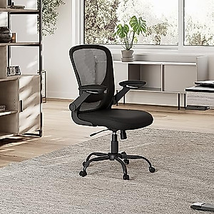 EUREKA ERGONOMIC Mesh Office Chair, Ergonomic Desk Chair with Adjustable Lumbar Support, Chair for Desk - Flip-Up Armrests, Breathable Computer Desk Chair with Wheels, Work Chair - BIFMA Passed(Black)