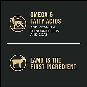 Purina Pro Plan Small Breed High Protein Dog Food Dry Shredded Blend Lamb and Rice Formula - 18 lb. Bag