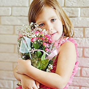 Tytroy 15in Roll Containing FOLDED 30in x 100ft Crystal Clear 2.5mil Gift Wrapping Cellophane Roll Perfect for Fruit/Gift Baskets Treats/Favors Flowers Desserts Xmas Birthday Arts & Crafts Wrapping or Decorations (folded 30in x 100ft)