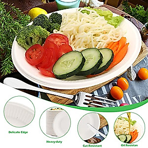 Eco-friendly 200 Pack Disposable Paper Plates, 100% Compostable & Biodegradable, Heavy-Duty Sugarcane Plates for Party, Picnic (6in)