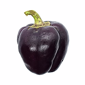 Purple Beauty Sweet Bell Pepper Seeds for Planting, 100+ Heirloom Seeds Per Packet, (Isla's Garden Seeds), Non GMO Seeds, Botanical Name: Capsicum annuum, Great Home Garden Gift