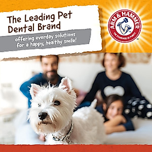 Arm & Hammer for Pets Super Treadz Mini Gorilla Dental Chew Toy for Dogs | Dog Dental Chew Toys Reduce Plaque & Tartar Buildup Without Brushing | for Dogs up to 25 Lbs, Small (1 Count)