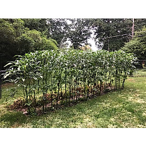 Lazy Crazy Garden - Grow Vegetables & Fruits On Your Lawn - 12x3 FT Biodegradable Garden Bed Soil