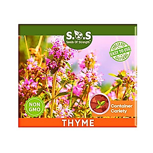 Seeds Of Strength Thyme Seeds - 2000 Mix Red Creeping Thymus Ground Cover Bulk for Planting Flower Home Garden