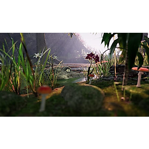 Away: The Survival Series