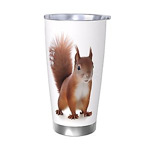 jshmgchw 3d Cute Squirrel 20oz Tumbler, Car Cup With Lid And Straw, Spill-Proof, Stainless Steel Double Wall Vacuum Insulated Reusable Coffee Travel Mug, For Cold Drinks, Hot Beverage