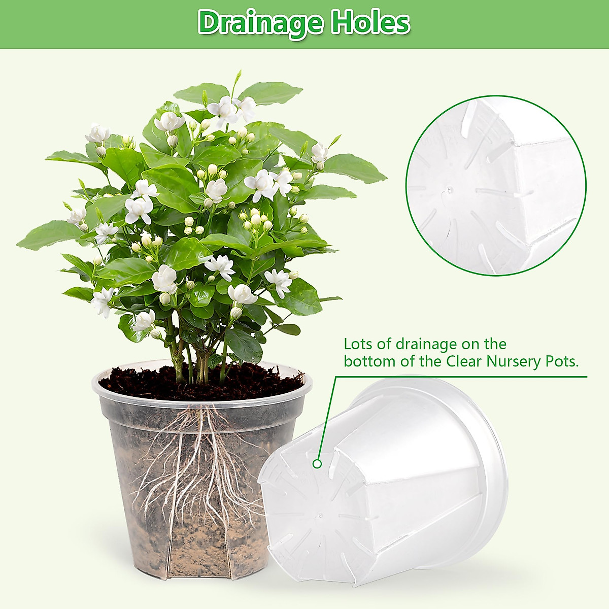 20Pack 4/5/6/7 inch Clear Nursery Pots with 20 Drip Trays 50Pcs Plant Labels, Plastic Reinforced Gardening Pots with Drainage Holes, Assorted Nursery Pots for Plants Succulent Vegetable Flowers