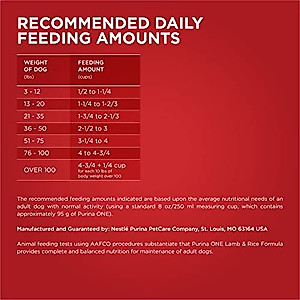 Purina ONE Dry Dog Food Lamb and Rice Formula - 31.1 Lb. Bag