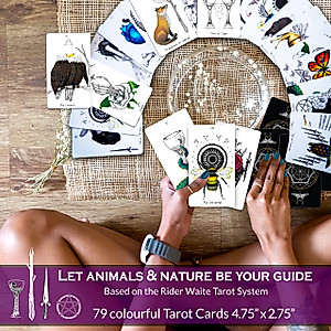 Naked Heart Tarot Deck by Jillian C. Wilde - Black Tarot Deck Tarot Cards with Guide Book - Nature & Animal Tarot Cards for Beginners & All Level Tarot Cards Deck Readers