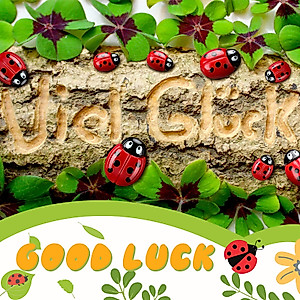 100 Pieces Tiny Resin Ladybugs Decor 0.55''-0.98'' 3 Size Plastic Ladybugs Shaped Embellishments Craft Ornaments Charms for Party Wreath Home Decoration