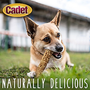 Cadet Smart Hide Rawhide Free Dog Treats – Peanut Coated, 2 Count