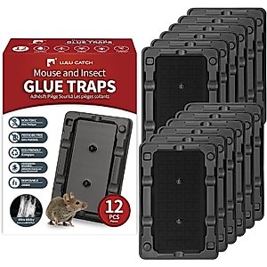 LULUCATCH Mouse & Insect Traps 12 Pack, Heavier Sticky Traps with Non-toxic Glue for Small Mice & Insects. Sticky Mouse Traps Indoor, Easy to Set, Safe to Children & Pets