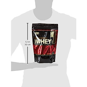 Optimum Nutrition Gold Standard 100% Whey Protein Powder, Double Rich Chocolate, 1 Pound