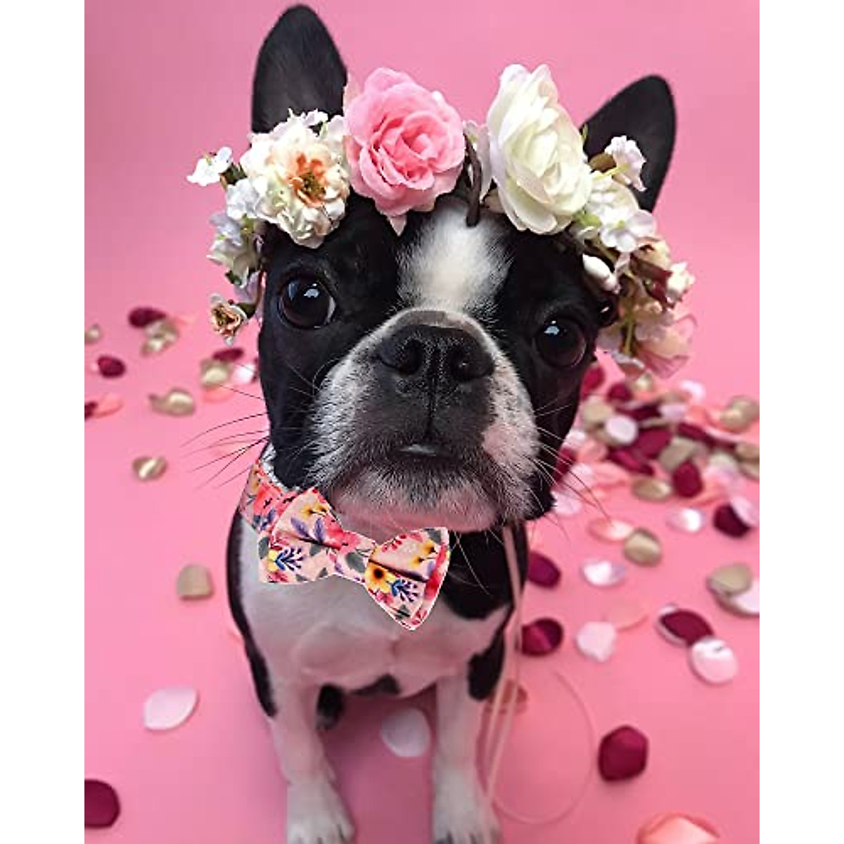 Bow Tie Dog Collar for Small Medium Large Dogs, Comfy Puppy Collars, Adjustable Pure Cotton Dog Collars for Girl and Boy Dog, Pink Dog Collar, Collar para Perros. (S, Pink)