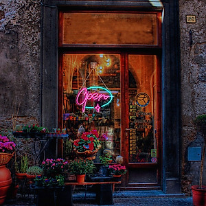 Neon Open Sign for Business, 15.75"x11.4" Led Open Signs for Business & Store Window, Adjustable Brightness Ultra Bright Neon Light Open Sign for Party Bar Salon Coffee Shop Club Hotel Wall Decor