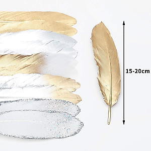 50Pcs 5 Style Natural Goose Feathers Clothing Accessories Pack of Mixed Siliver and Golden for Dream Catcher,Easter Decor,Christmas, Clothing,and Baby Shower Decorations