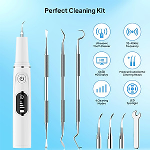 AAU Dog Plaque/Tartar Remover for Teeth - Rechargeable Safe Pets Ultrasonic OLED Screen Tooth Brushing Kit for Canine/Cat/Dog Teeth Cleaning, with Canident Dog Tartar Remover, 3 Replacement Heads