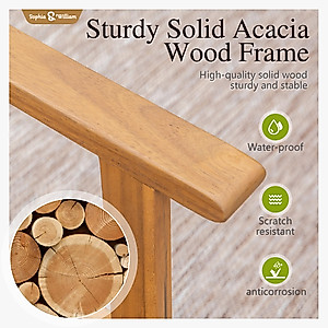 Sophia & William 9-Piece Patio Outdoor Dining Table Chair Set, Rattan Furniture Set of 8 Rattan Chairs and 1 Acacia Wood Rectangular Table for Yard, Garden, Porch and Poolside