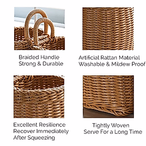 Hanging Woven Storage Basket, Decorative Wall Basket Organizer for Plants, Key, Sunglasses, Wallet on Door, Fern Wall Hanging Basket Planter