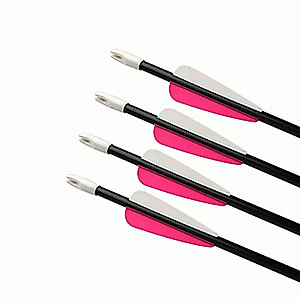 CQ 28inch Target Archery Arrows Practice Fiberglass Arrows for Recurve Bow Training Arrows for Kids Youth and Teens