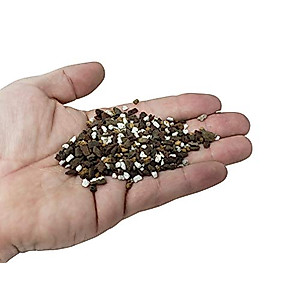Succulent & Cactus Soil Mix - Premium Pre-Mixed Fast Draining Blend (1.25 Dry Quarts)