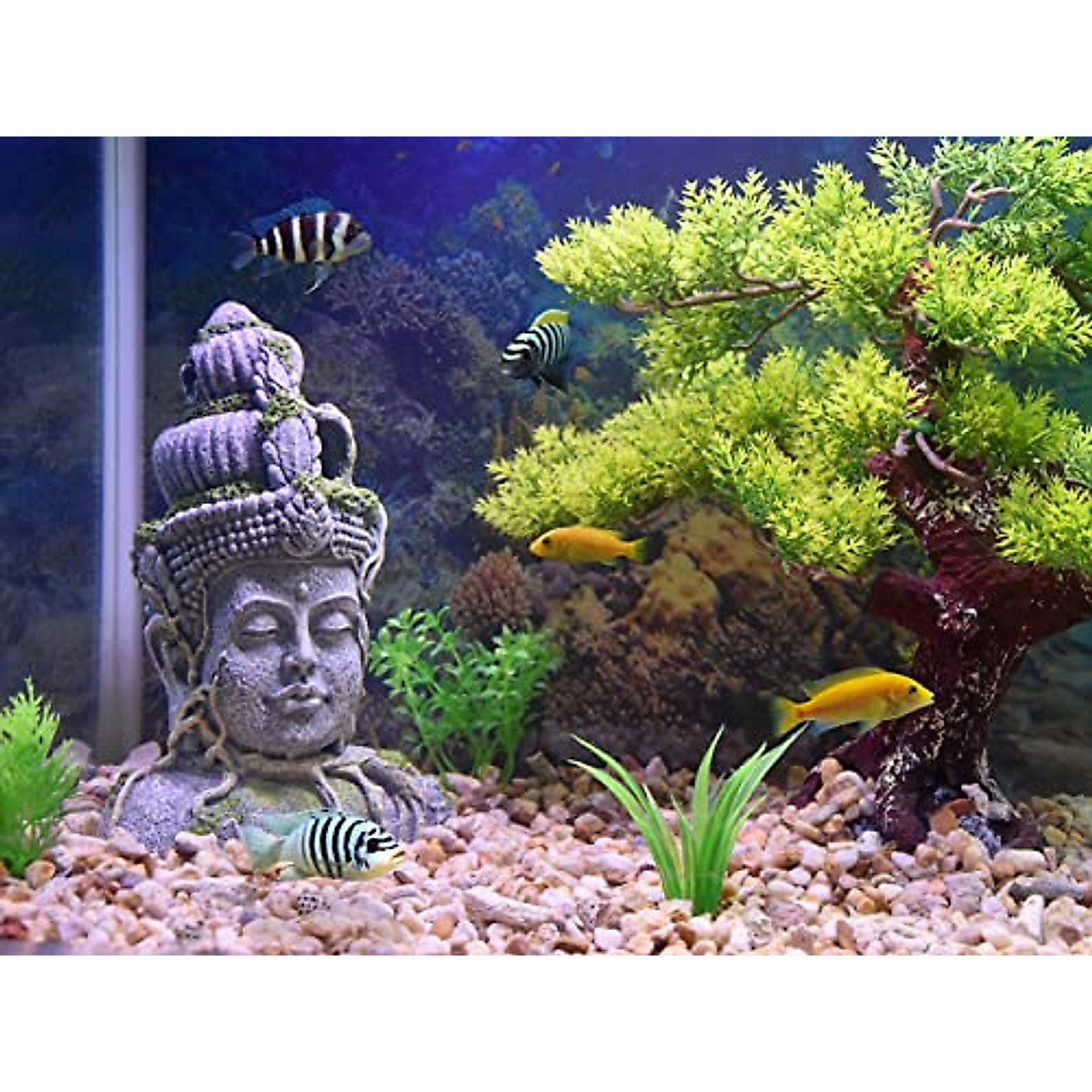 PTFJZ Aquarium Decorations Fish Tank Buddha Decor Suitable for Betta Cichlids Hide Rest Lizard Turtle Reptile Decoration Create an Exotic Zen Fish Tank Decorations