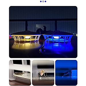 Flea Trap for Inside Your Home(2 Packs), Natural Flea Killer w/Warm & Purple LED Light, Flea Fighting Tool Kit for Flea Infestation