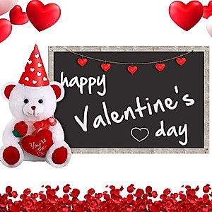 Valentine Bear Dog Plush Stuffed Animals Gift 10 Inch Cute Plush Animals Heart Holding Soft Plush Toy for Valentine's Day, Mother's Day, Wedding, Anniversary, Birthday(White Bear)