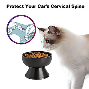 KITCHENLESTAR Small Ceramic Cat Bowls, Elevated Food or Water Bowls, Stress Free, Backflow Prevention, Suitable for Small Pets，Dishwasher and Microwave Safe (Black)