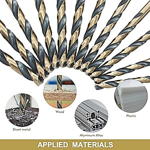 BeHappy Cobalt Drill Bit Set, 29Pcs M35 Drill Bit Set, High Speed Steel Jobber Drill Bit Set for Hardened Metal, Stainless Steel, Cast Iron, Wood, Indexed Round Case, 1/16"-1/2", Black and Gold