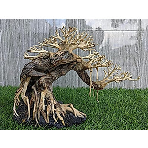 Bonsai Driftwood Aquarium Tree for Aquarium Decor Fish Tank Decorations