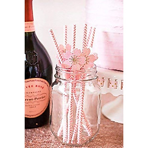 ALINK 200 Colorful Flexible Straws + 100 Gold Pink Paper Straws